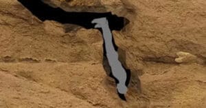 The Tragic Death of John Edward Jones: A Cave Rescue That Ended in ...